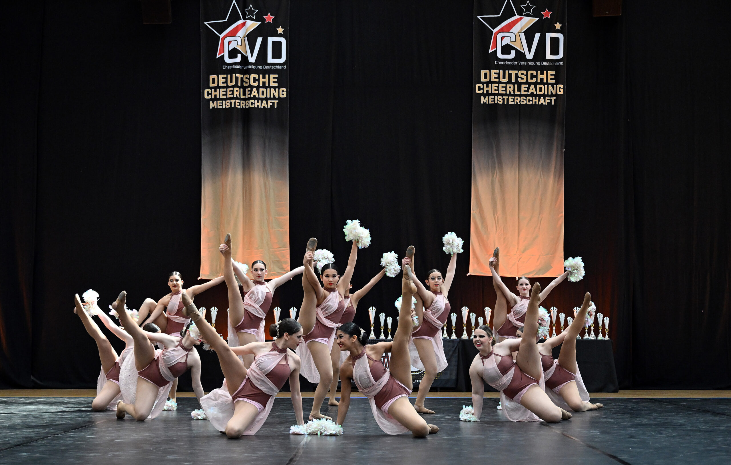 About Cheerleading - AFVD